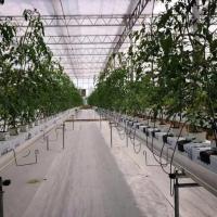 China Glass Greenhouse Hydroponic Setup for Year-Round Cultivation Affordable Shipping Cost for sale