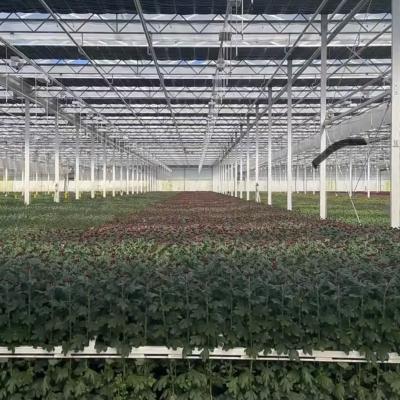 China Reasonably Priced Glass Greenhouse Hydroponics System for Large-Scale Farming Needs for sale