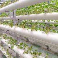 China 9.6m Film Greenhouse for Maximum Yield in Soilless Cultivation and Initial Payment for sale