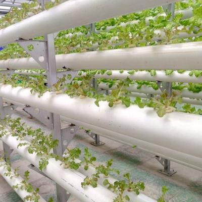 China 9.6m Film Greenhouse for Maximum Yield in Soilless Cultivation and Initial Payment for sale