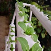 China Temporary Heating Solutions for Glass Greenhouse Department Soilless Cultivation for sale