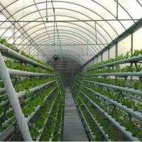 China Large-Scale Farming Greenhouse Hydroponic System featuring Temporary Heating Method for sale