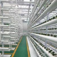 China Large-Scale Farming Greenhouse Hydroponic System featuring Temporary Heating Method for sale