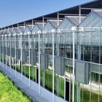 China Good Light Transmission Glass Greenhouse Hydroponics 100.000kg Package Gross Weight for sale