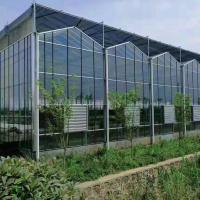 China Good Light Transmission Glass Greenhouse Hydroponics 100.000kg Package Gross Weight for sale