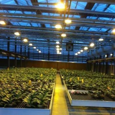 China Controlled Environment Illuminated Planting Greenhouse with Glass Cover and Illumination for sale