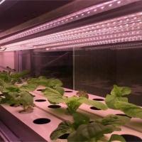 China Controlled Environment Illuminated Planting Greenhouse with Glass Cover and Illumination for sale