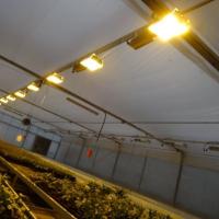 China Controlled Environment Illuminated Planting Greenhouse with Glass Cover and Illumination for sale