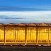 China Controlled Environment Illuminated Planting Greenhouse with Glass Cover and Illumination for sale