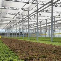 China Greenhouse Hydroponics System with Customization and 100.000kg Package Gross Weight for sale