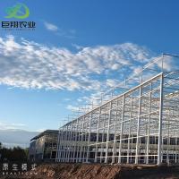 China JX-Glass Green House Hot-DIP Galvanized Steel Pipe Structure for Agriculture Greenhouse for sale