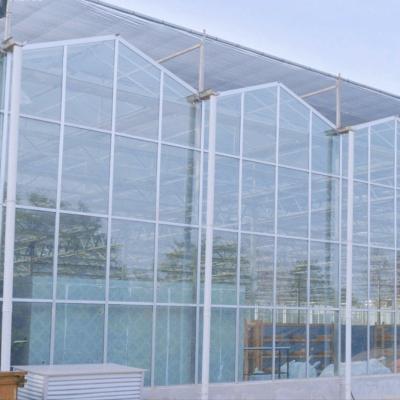 China Tempering Glass Greenhouse for Agriculture using Float Glass and Green Leaves Vegetables for sale