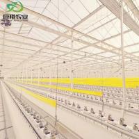 China Tempering Glass Greenhouse for Agriculture using Float Glass and Green Leaves Vegetables for sale