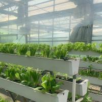 China Glass Covered Hydroponic Seedlings Greenhouse with Outdoor Shading and Spray Cooling for sale