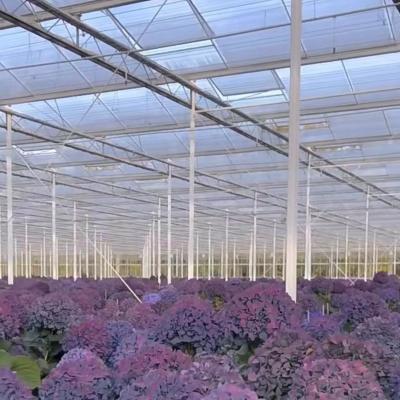 China Hot DIP Galvanized Steel Glass Greenhouse JX-A0082 for Commercial Greenhouse Market for sale