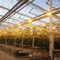 China Greenhouse for Seedling Cultivation Illuminated by Wet Curtain and Customizable Options for sale