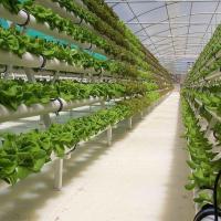 China Greenhouse for Seedling Cultivation Illuminated by Wet Curtain and Customizable Options for sale