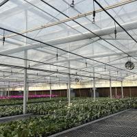 China Large and Venlo Style Glass Agricultural Greenhouse with Automatic Control System for sale