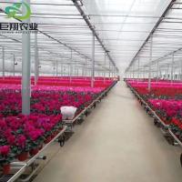China Customized Greenhouse for Agriculture Commercial Glass/Tempering Glass/Float Glass for sale