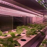 China Double Layer Water Sprayer Controlled Illuminating Greenhouse for Planting Solutions for sale