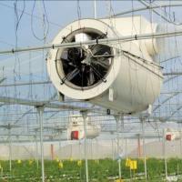 China Double Layer Water Sprayer Controlled Illuminating Greenhouse for Planting Solutions for sale