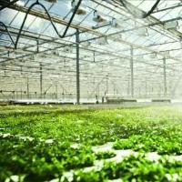 China Double Layer Water Sprayer Controlled Illuminating Greenhouse for Planting Solutions for sale