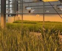 China Double Layer Water Sprayer Controlled Illuminating Greenhouse for Planting Solutions for sale