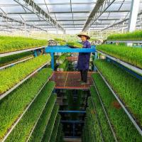 China Turnkey Large Intelligent Glass Polycarbnate Board Tomato Greenhouse 1 Piece Min.Order for sale