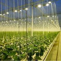 China Glass Cover JX-GG-12 Shaded Hydroponic Seedling Facility Illuminate Greenhouse by Juxiang for sale