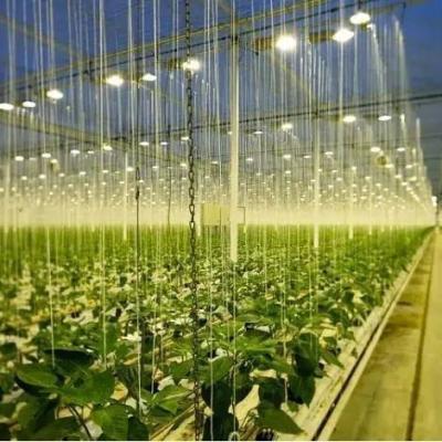 China Glass Cover JX-GG-12 Shaded Hydroponic Seedling Facility Illuminate Greenhouse by Juxiang for sale