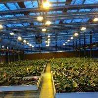 China Glass Cover JX-GG-12 Shaded Hydroponic Seedling Facility Illuminate Greenhouse by Juxiang for sale