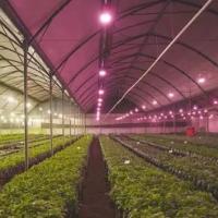 China Glass Cover JX-GG-12 Shaded Hydroponic Seedling Facility Illuminate Greenhouse by Juxiang for sale