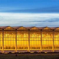 China Glass Cover JX-GG-12 Shaded Hydroponic Seedling Facility Illuminate Greenhouse by Juxiang for sale