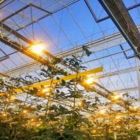 China jx-gg-002 Illuminating Hydroponic Humidity Seedling Film Greenhouse and Return Refunds for sale