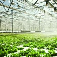 China jx-gg-002 Illuminating Hydroponic Humidity Seedling Film Greenhouse and Return Refunds for sale