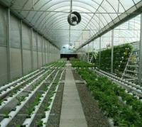 China jx-gg-002 Illuminating Hydroponic Humidity Seedling Film Greenhouse and Return Refunds for sale