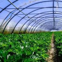 China jx-gg-002 Illuminating Hydroponic Humidity Seedling Film Greenhouse and Return Refunds for sale