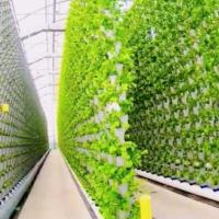 China Hydroponic Seedling Facility Indoor Shading Film Greenhouse with Outdoor Shading for sale