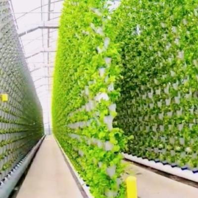 China Hydroponic Seedling Facility Indoor Shading Film Greenhouse with Outdoor Shading for sale