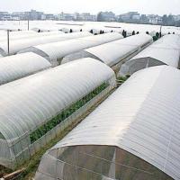 China Hydroponic Seedling Facility Indoor Shading Film Greenhouse with Outdoor Shading for sale