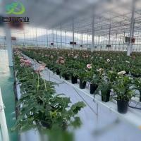China Customized Span 8m 9.6m 12m Greenhouse for Cucumber Made of Hot-DIP Galvanized Steel Pipe for sale