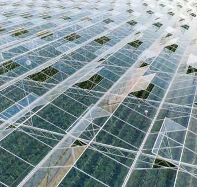 China Hydroponics Cultivation Method Commercial Heating Garden Glass Greenhouse for Plants for sale