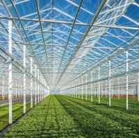 China Hydroponics Cultivation Method Commercial Heating Garden Glass Greenhouse for Plants for sale