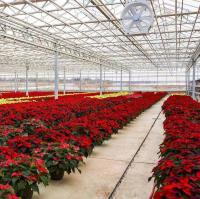 China Hydroponics Cultivation Method Commercial Heating Garden Glass Greenhouse for Plants for sale