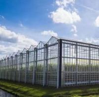 China Hydroponics Cultivation Method Commercial Heating Garden Glass Greenhouse for Plants for sale