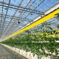China Reasonably Priced Glass Greenhouse for Large Vegetable Production and Large Size for sale