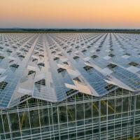 China Reasonably Priced Glass Greenhouse for Large Vegetable Production and Large Size for sale