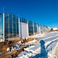 China Reasonably Priced Glass Greenhouse for Large Vegetable Production and Large Size for sale