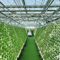 China Double Layer Glass Greenhouse Canopy for Flowers 50.00cm * 60.00cm * 80.00cm Package Size for sale