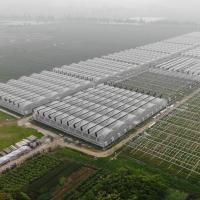 China Sunlight Greenhouse 100% Blackout Automatic Light Deprivation Greenhouse in Canada / USA for sale